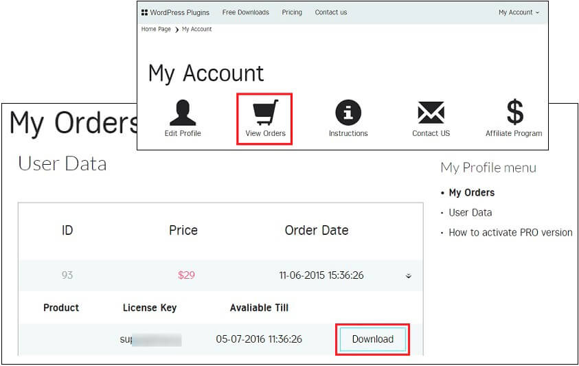 Installation of PRO version | Plugin by Supsystic
