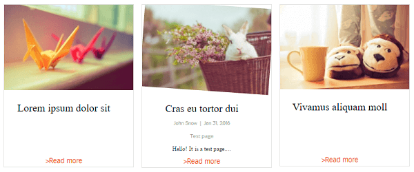 Post Feed Gallery ! Display website content in original way