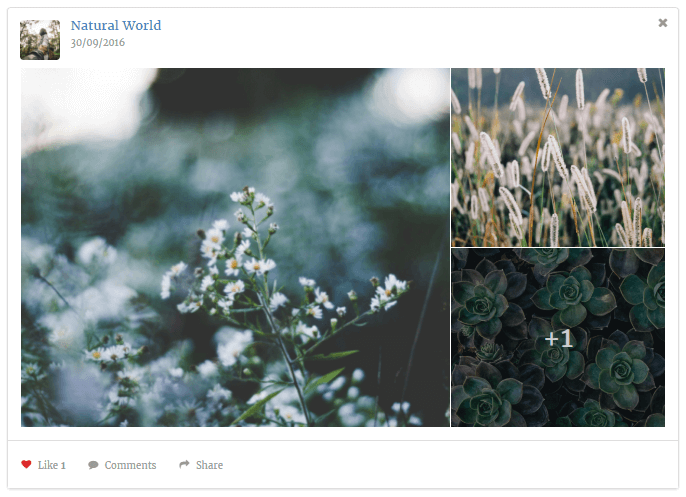 Wordpress Membership Plugin Activity Page | Ultimate WordPress Plugins ...